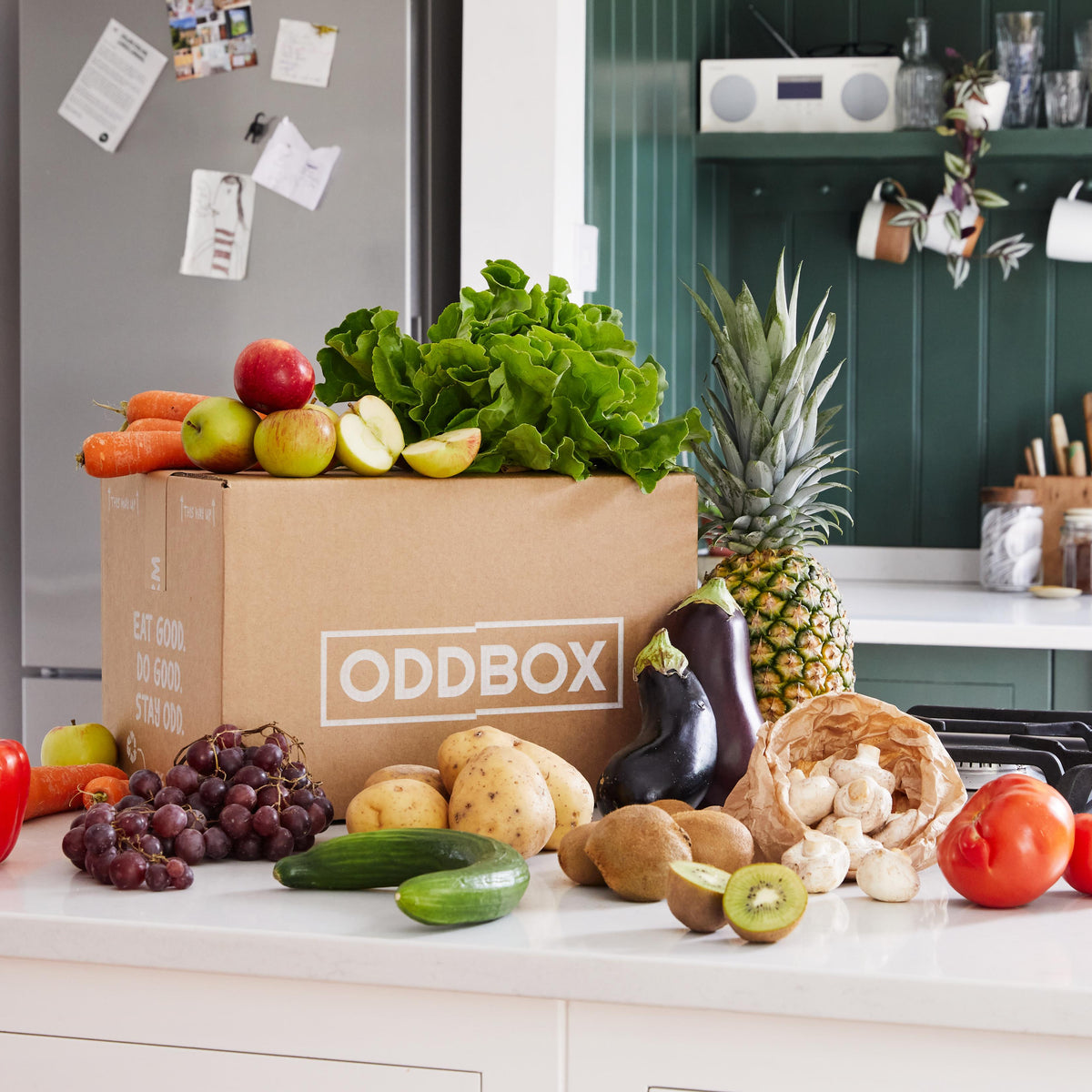 oddbox